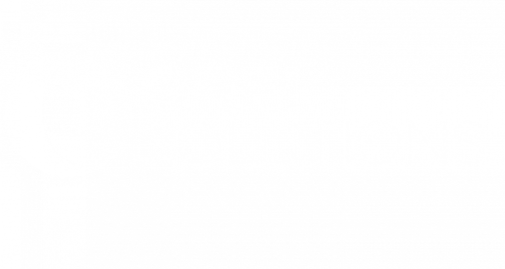 Orel Solutions – Execution driven by innovation